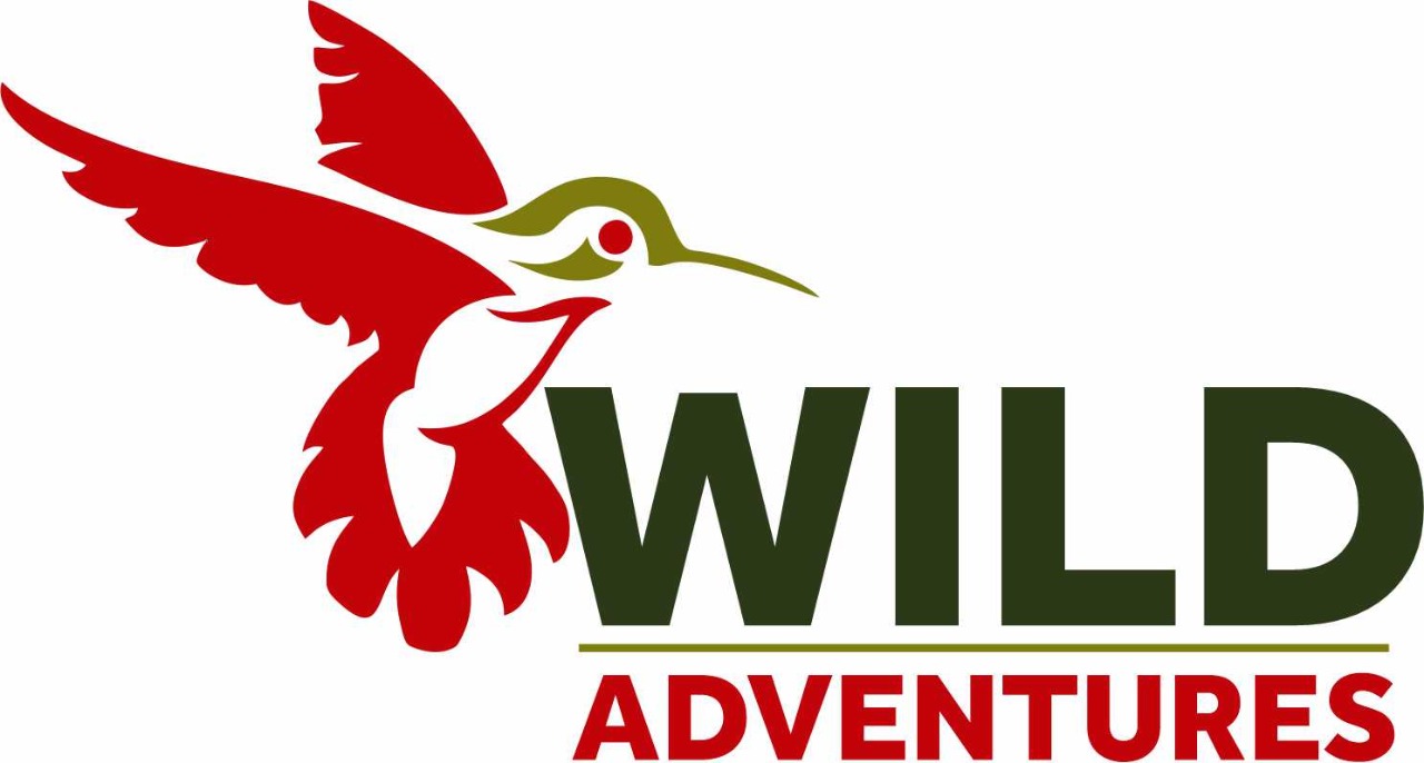 Wild Adventures Logo Make It A Dynamic Duo! Save $60 When You Purchase